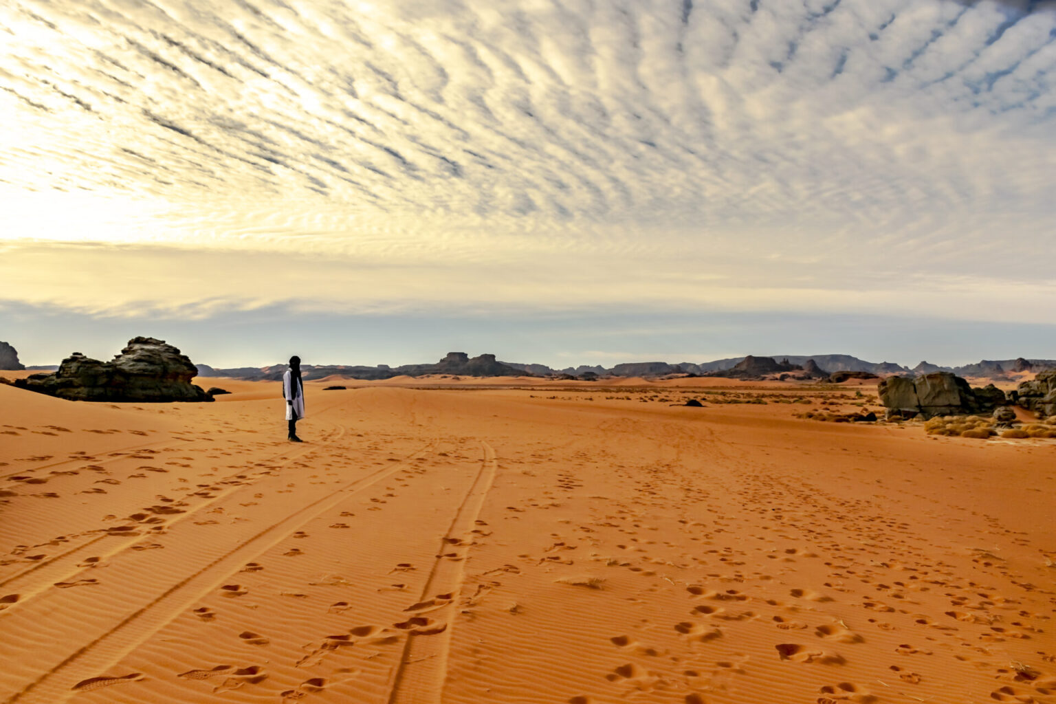 7 Surprising Benefits of Living in the Desert: Discover the Hidden ...